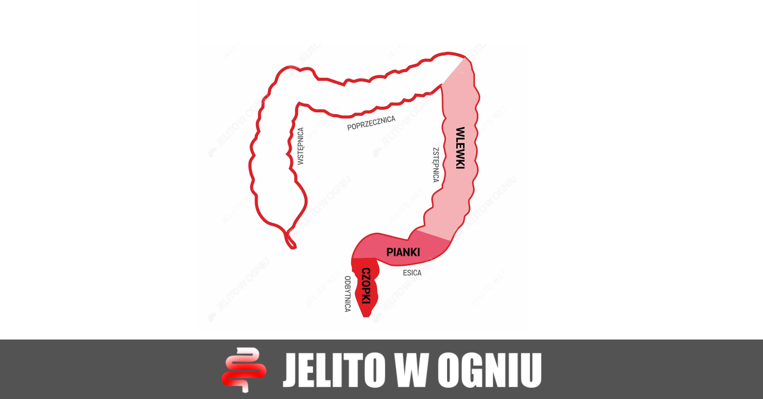 Czopki, pianki, wlewki - czym się różnią i jak działają?